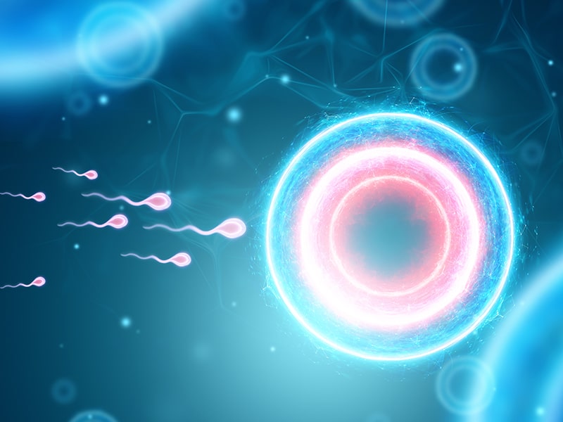 Spermiyogram (Sperm Analizi) Nedir? - Laboratuvarı